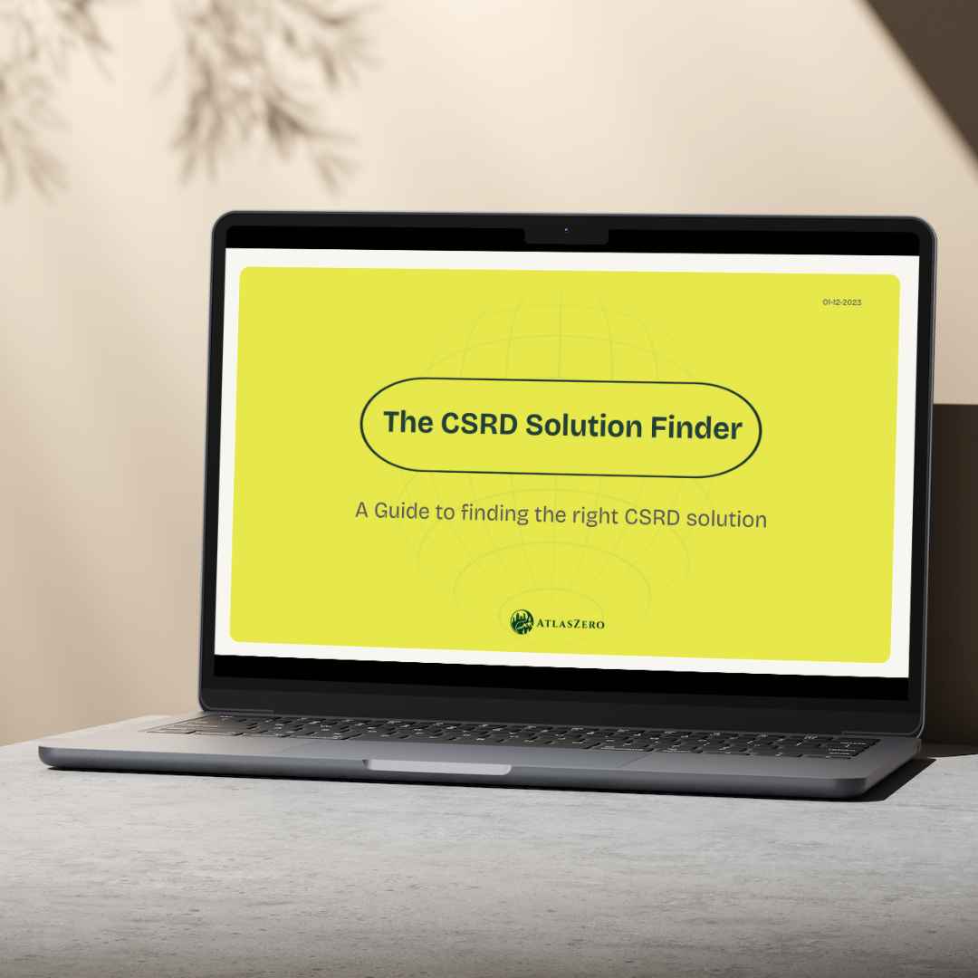 What does iro mean in CSRD?